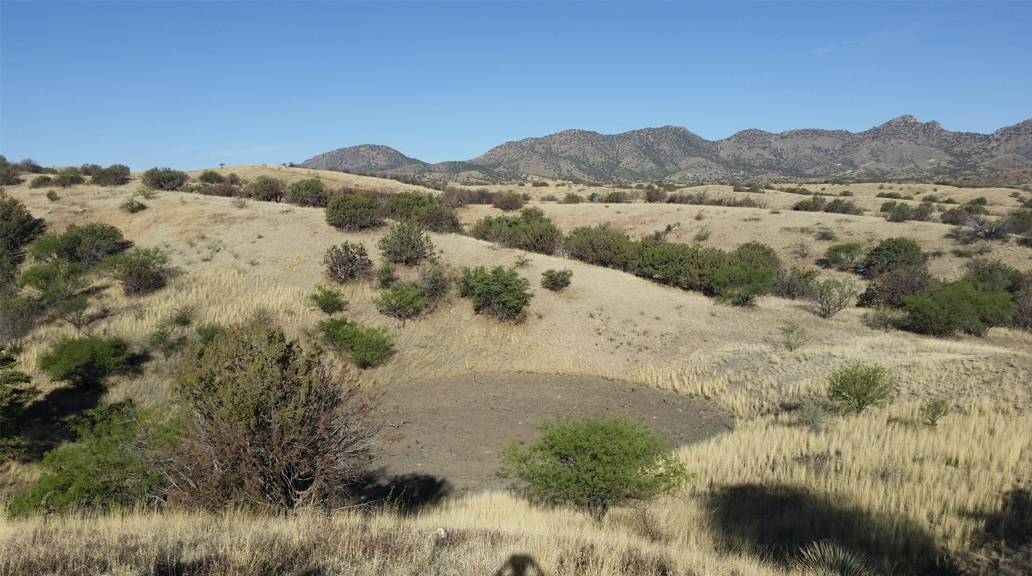 Rosemont Project Watershed Model - Riley Engineering